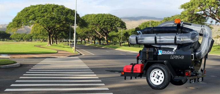The Small Vacuum Everyone Should Have: Madvac LP61-G Portable Litter ...